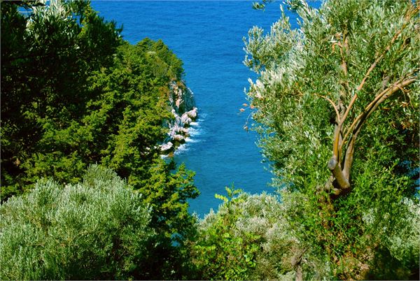 Samos Island - Bodrum Günlük Turlar & Havalimanı Transfer, Bölgeden ...