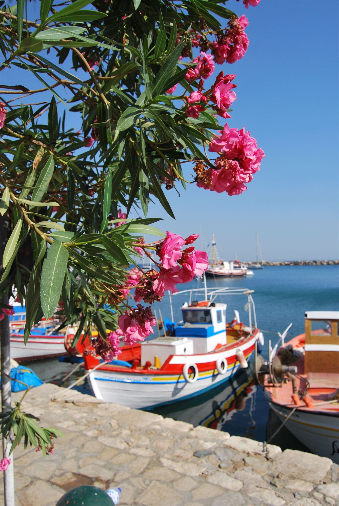 Samos Island - Bodrum Günlük Turlar & Havalimanı Transfer, Bölgeden ...