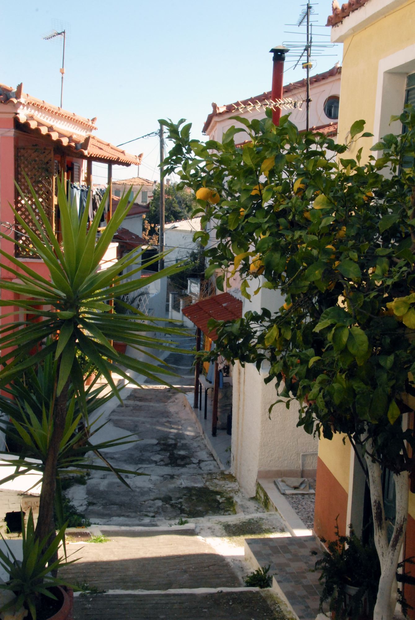 Samos Island - Transfer, Tour, Rent A Car, Village, Hotel ! Bodrum Transfer